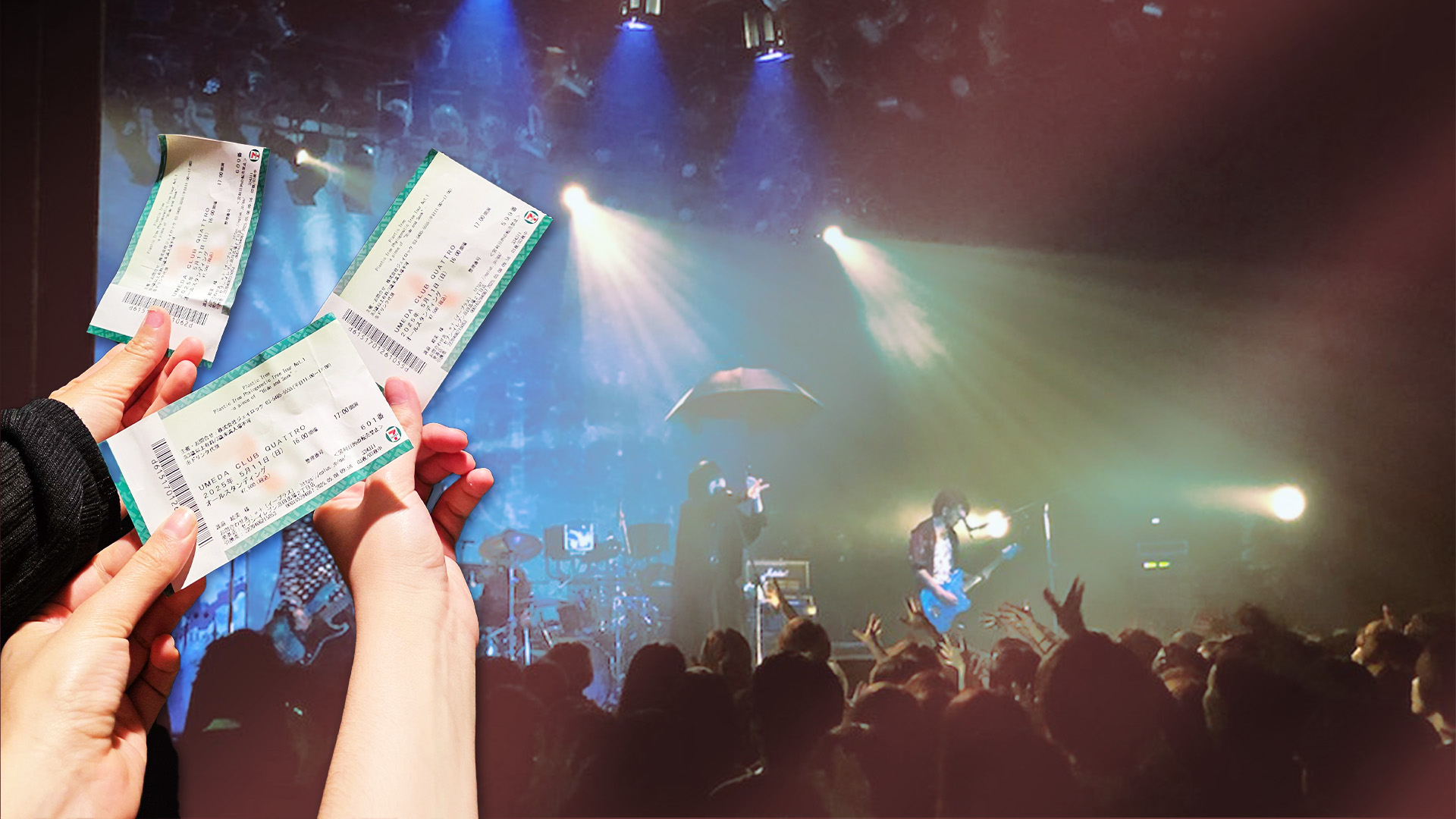 Japan: A Music Lover’s Travel Guide